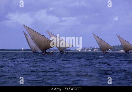 Lateen sailed dhows race in the Indian Ocean, Lamu, Kenya, Africa Stock ...