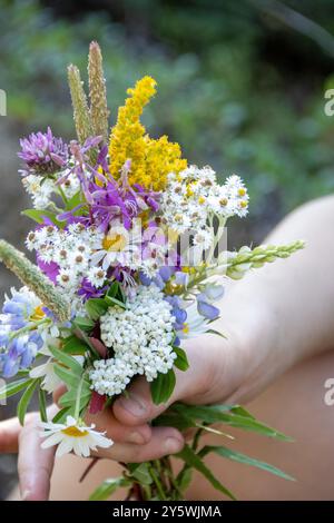 Hand holding a fresh, vibrant bouquet of wild daisies against the soft ...