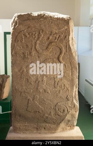 Pictish stones on display at Meigle Sculptured Stone Museum, Meigle ...