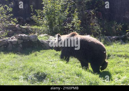 Kuterevo, Croatia. 23rd Sep, 2024. Photo taken on September 23, 2024 ...