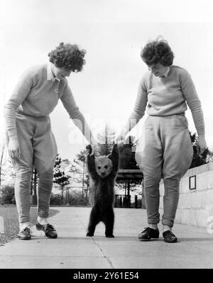 FOYLE J WHEELER A WHIPSNADE BEARS / 10 MAY 1960 Stock Photo - Alamy