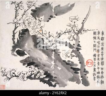 Plum Blossom, chinese flower during lunar new year Stock Photo - Alamy