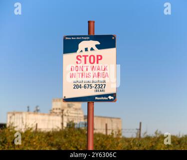A sign warning of a bear in the area is shown in Squamish, B.C. on ...