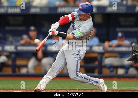 Toronto Blue Jays' Tyler Heineman (55) celebrates his game-winning hit ...
