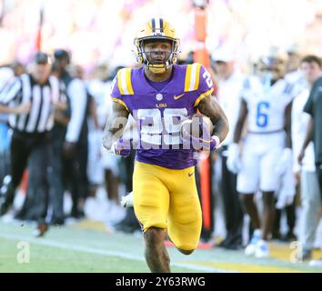 LSU Tigers running back Caden Durham (29) rush for some yardage during ...