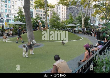 People and dogs are seen at a dog run in Madison Square Park, Manhattan ...
