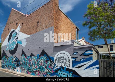 General photos of Newtown, Sydney showing street art murals, Sydney ...
