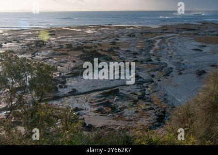 Rock platform at The Caves near RACV resort, Inverloch Stock Photo - Alamy