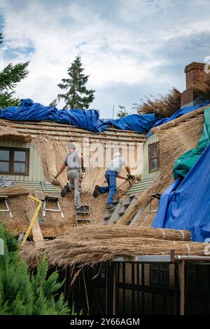 man busy with Thatching a country cottage in denmark Stock Photo - Alamy