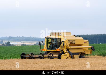 22 September 2024. Keith,Moray,Scotland. This is a New Holland Combine ...