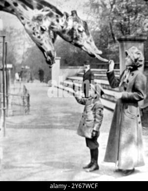 The daughter of the younger son of Commander Peary in London Miss Marie ...