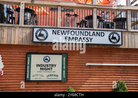 Newfoundland Embassy pub sign on New Gower Street in downtown St. John ...