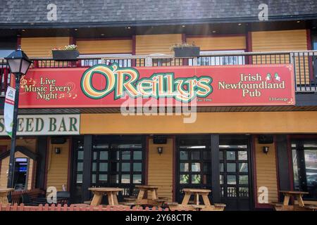 O'Reilly's Irish Newfoundland Pub sign on the awning on George Street ...