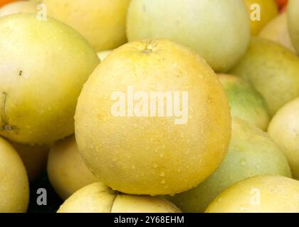 Pomelo from the farmers market Stock Photo - Alamy