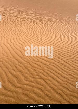Yellow sand dune wavy pattern detail Stock Photo - Alamy