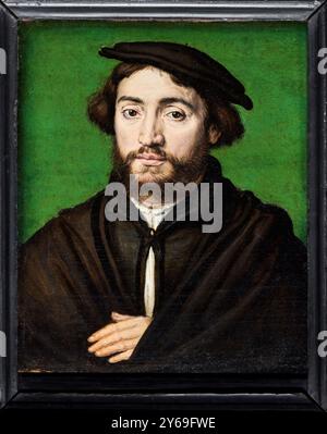 The portrait of Pierre Aymeric by Corneille de Lyon is a striking ...