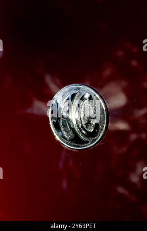 Sunlight through overhanging trees on the approach road to the Castle ...