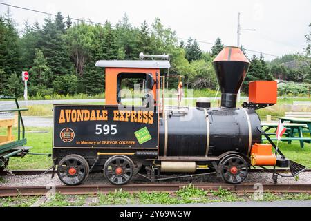 Avondale Express 595 engine at the railway museum in Avondale ...