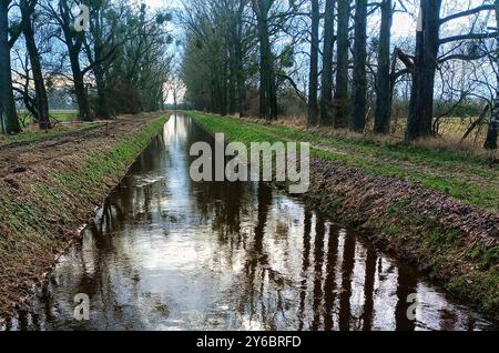 drainage ditch for lowering groundwater levels with a lateral inflow ...