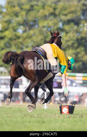 Rider competing in the Mounted Games at Hastings, New Zealand Stock ...