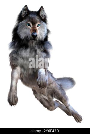 3D rendering of a big gray wolf isolated on white background Stock ...