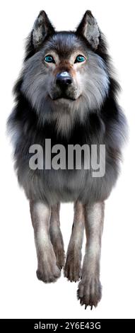 3D rendering of a big gray wolf isolated on white background Stock ...