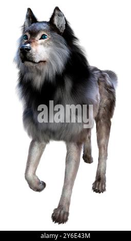 3D rendering of a big gray wolf isolated on white background Stock ...