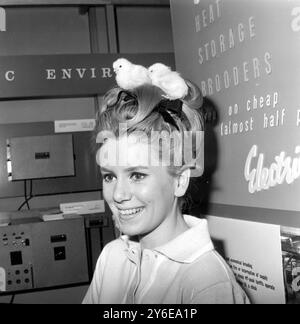 STEPHANIE HILL MODEL AT POULTRY SHOW / ; 5 DECEMBER 1962 Stock Photo ...