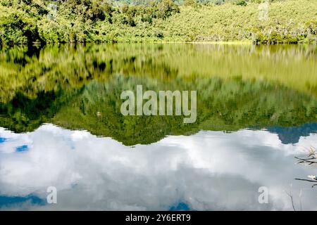 Lake Mahoma in the Rwenzori Mountains Uganda Stock Photo - Alamy