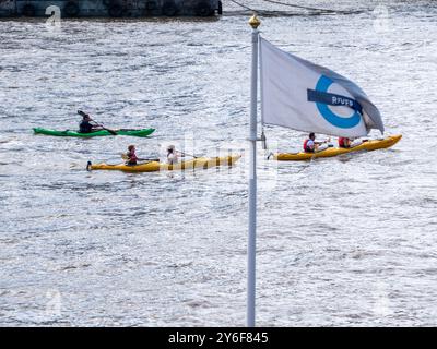 Paddler on the Thames Stock Photo - Alamy