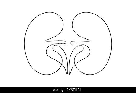 Kidneys hand drawn outline doodle icon. Kidney transplant and kidney dialysis concept vector ...