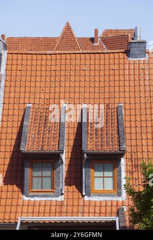 Reddish roof with roof tiles and skylights in the historic city centre ...