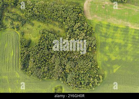 sown agricultural field, view from above Stock Photo - Alamy