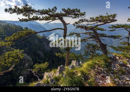 View from famous Banjska stena on Drina river in Tara National Park ...