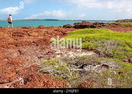 Woman at the cliff edge at Macassan Beach (Garanhan Stock Photo - Alamy
