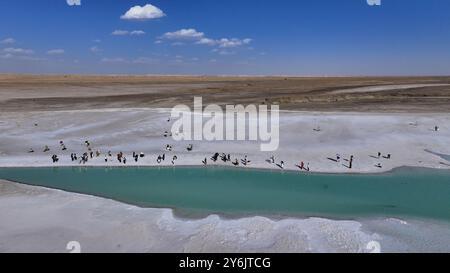 Aerial photos show the autumn scenery by Kaidu River, Bohu County ...