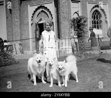 Winchester Championship Dog Show at Brighton Miss Lurcock with Miss ...