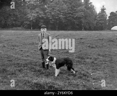 International Sheepdog Trials at Talybont. Mr Roberts with his clever ...
