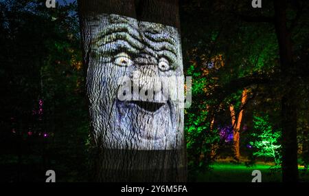Botanische Nacht, illuminierter sprechender Baum, Botanischer Garten ...
