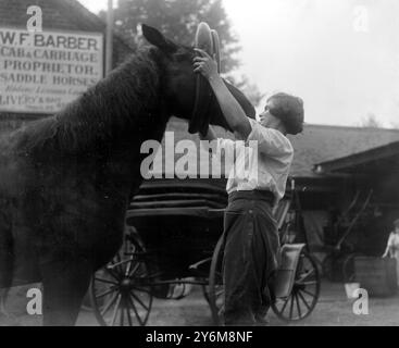Miss Hazel Bruce, a van driver during the war. Who is managing a Livery ...
