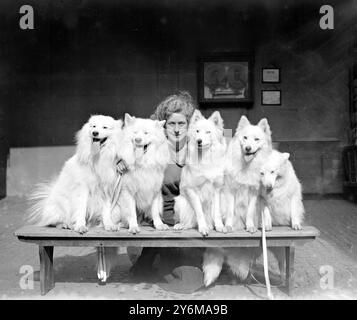 Samoyed Show at Tattersalls. Miss Irene Perry with her team and "Peter ...