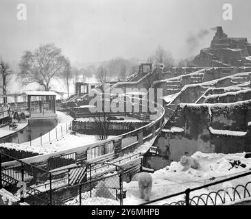 At the zoo The Mappin Terraces. 27 December 1927 Stock Photo - Alamy