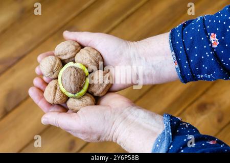 Hands holding walnuts, close-up Stock Photo - Alamy