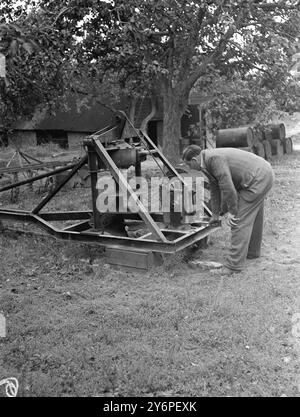 Tree Borer . 15 September 1947 Stock Photo - Alamy
