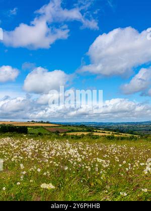 A sky above Warwickshire countryside in summer, England, UK Stock Photo ...