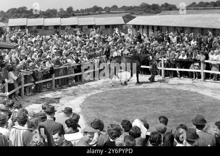 LORD BATHURST WITH RUSSIAN HORSE / ; 27 JUNE 1962 Stock Photo - Alamy