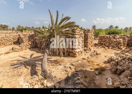 Houses in Al Qassar heritage village on Farasan island, Saudi Arabia ...