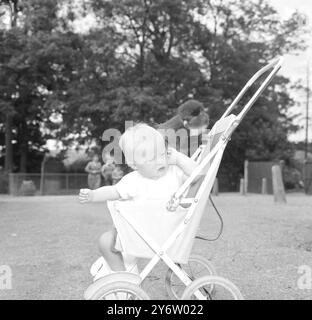 NIGEL SAYERS WITH MONKEY AT CHESSINGTON ZOO / 10 AUGUST 1961 Stock ...