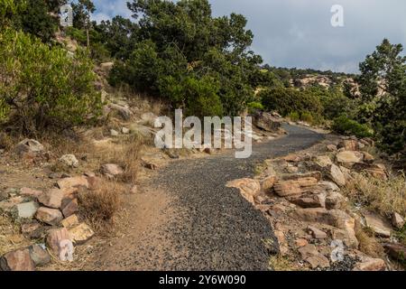 Hiking trail near Jabal Sawda mountain, Saudi Arabia Stock Photo - Alamy