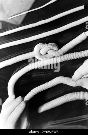 RUSSIAN SCIENTIFIC MEDICAL EXPERIMENTS - ARTIFICIAL ARTERIES IN A ...